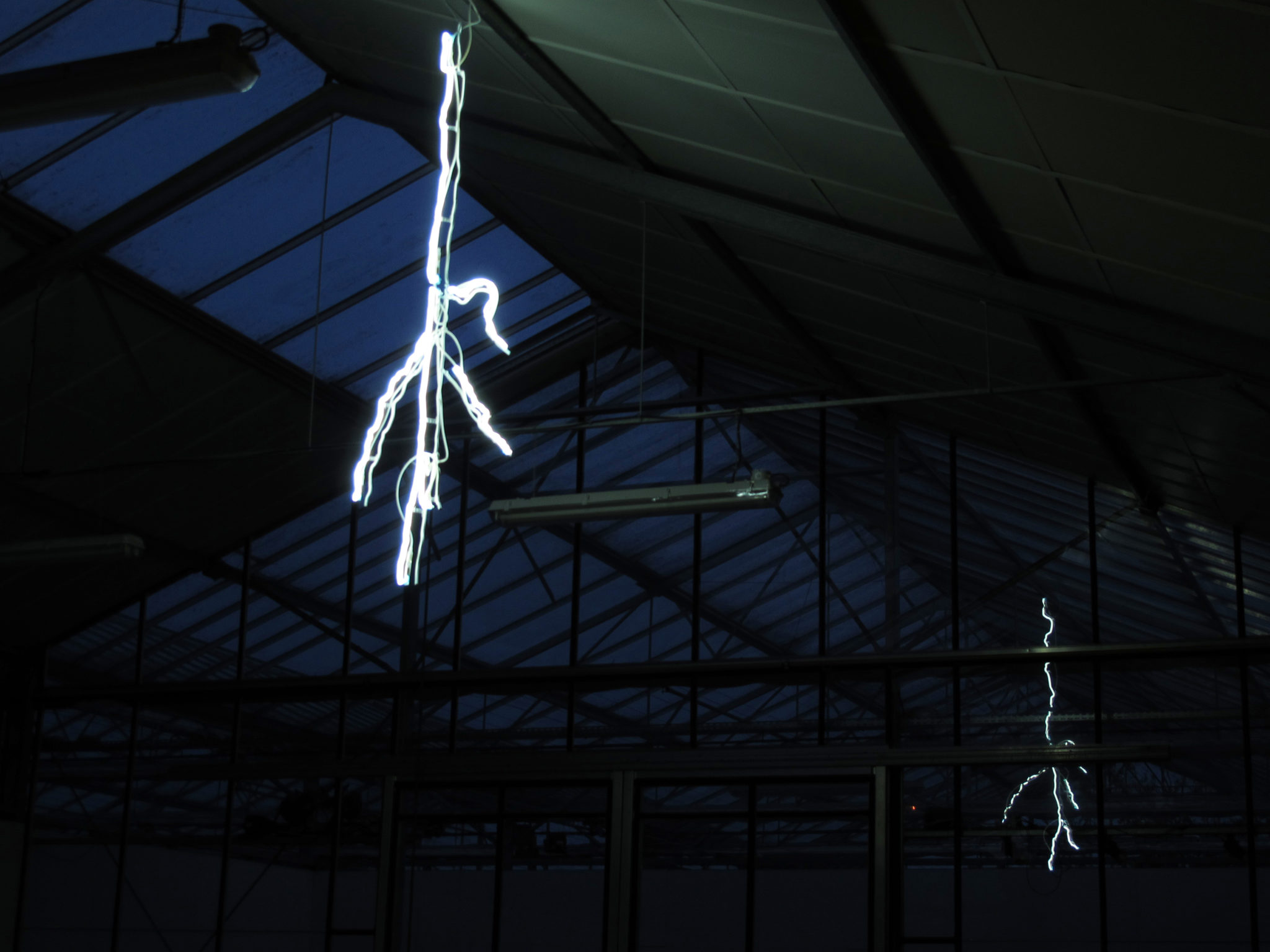 Zibens – Cécile Beau