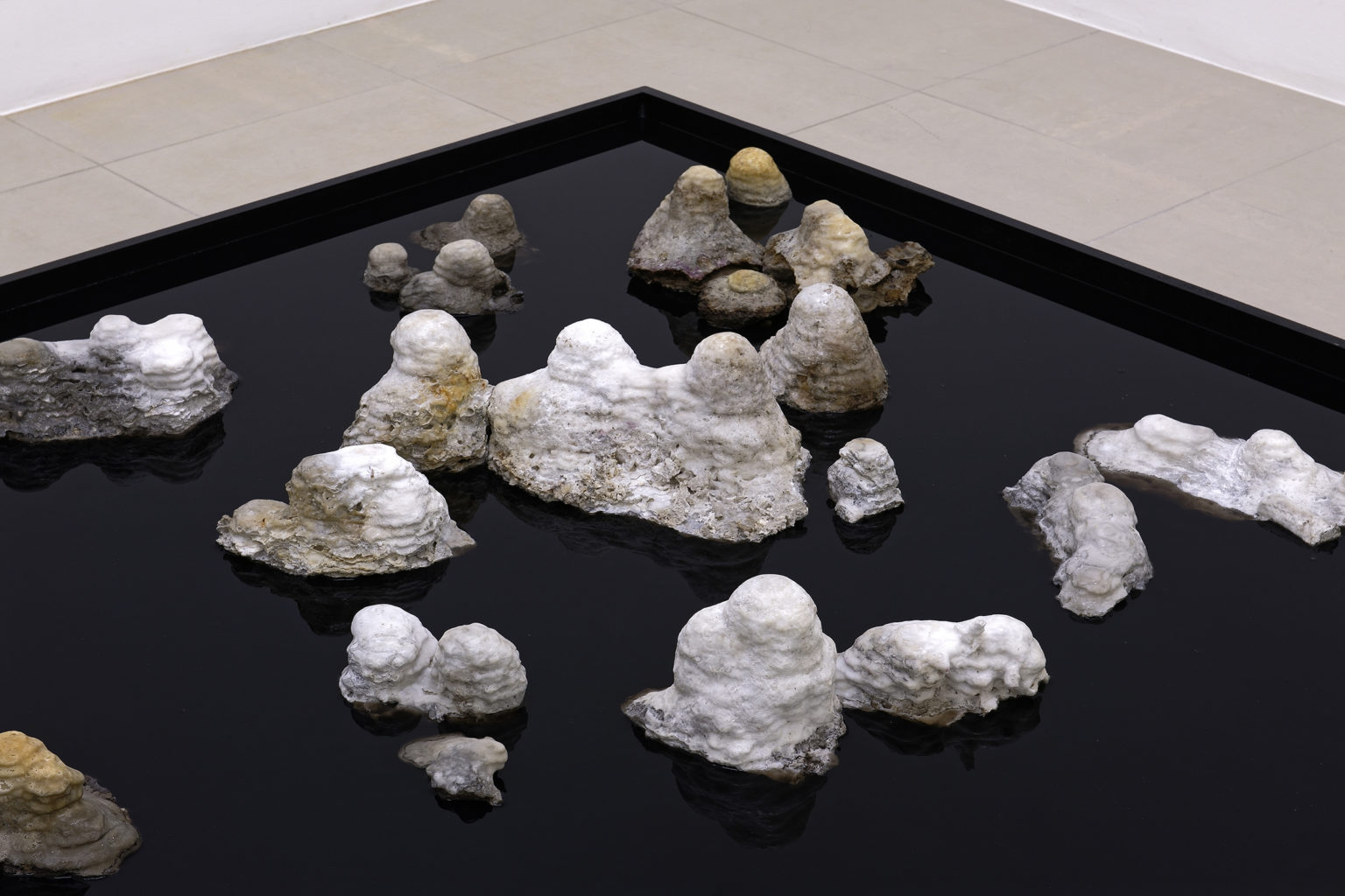 Ampholyte – Cécile Beau