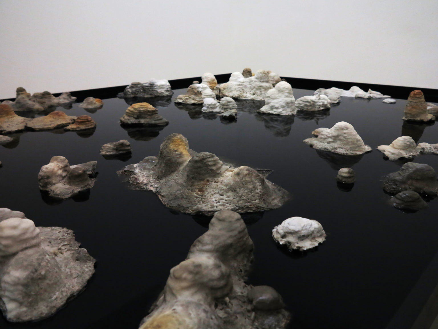 Ampholyte – Cécile Beau