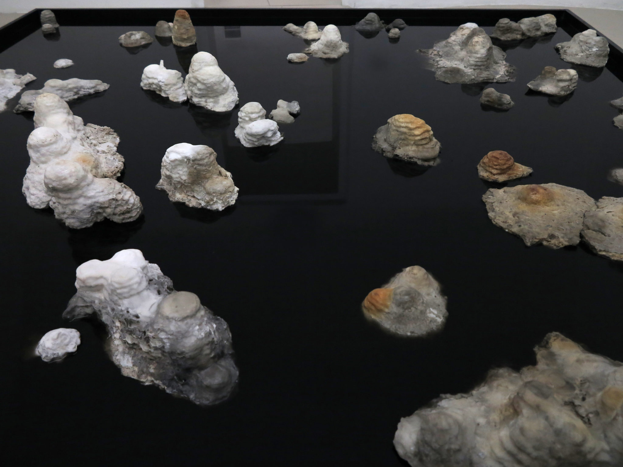 Ampholyte – Cécile Beau