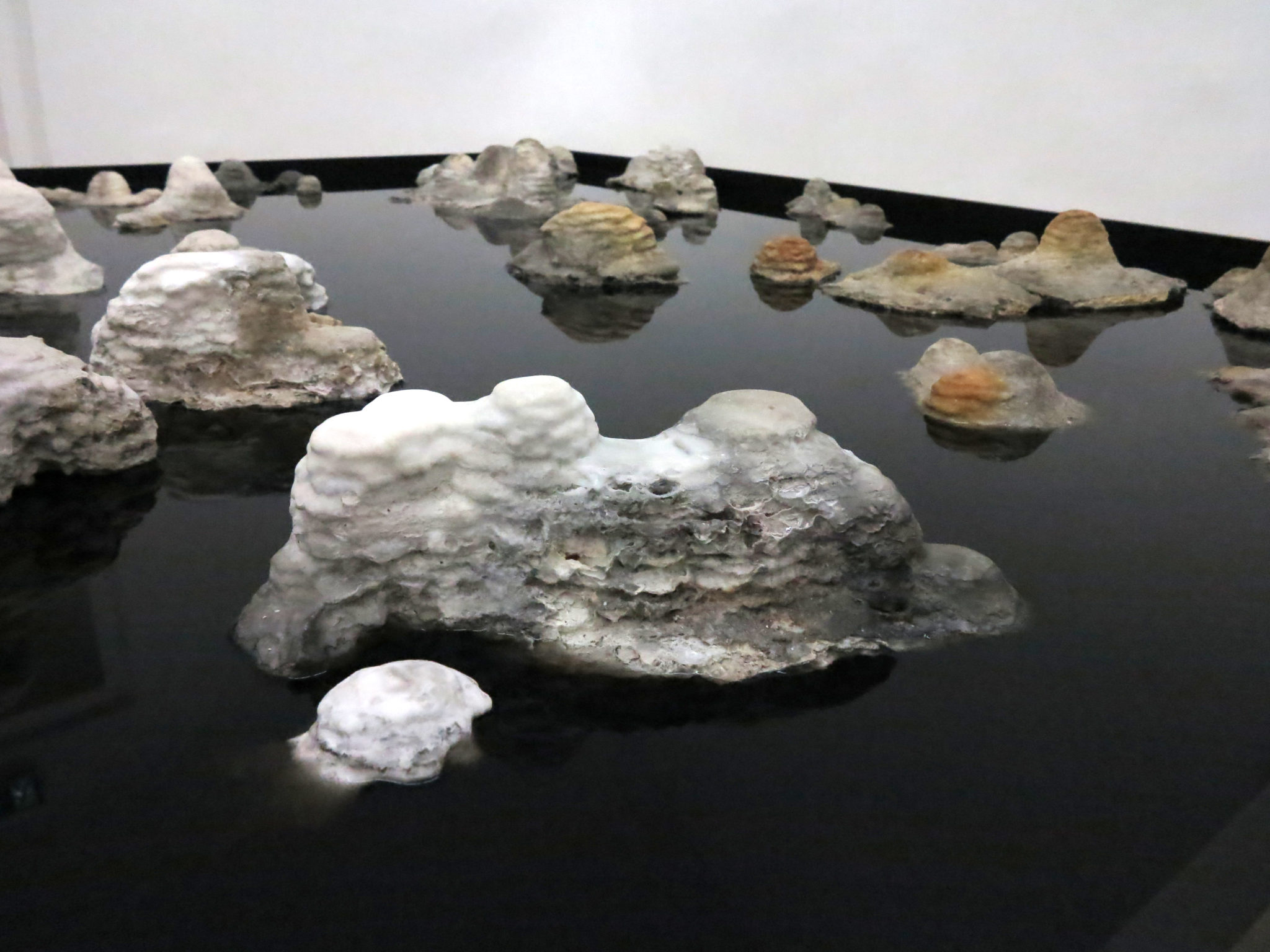 Ampholyte – Cécile Beau