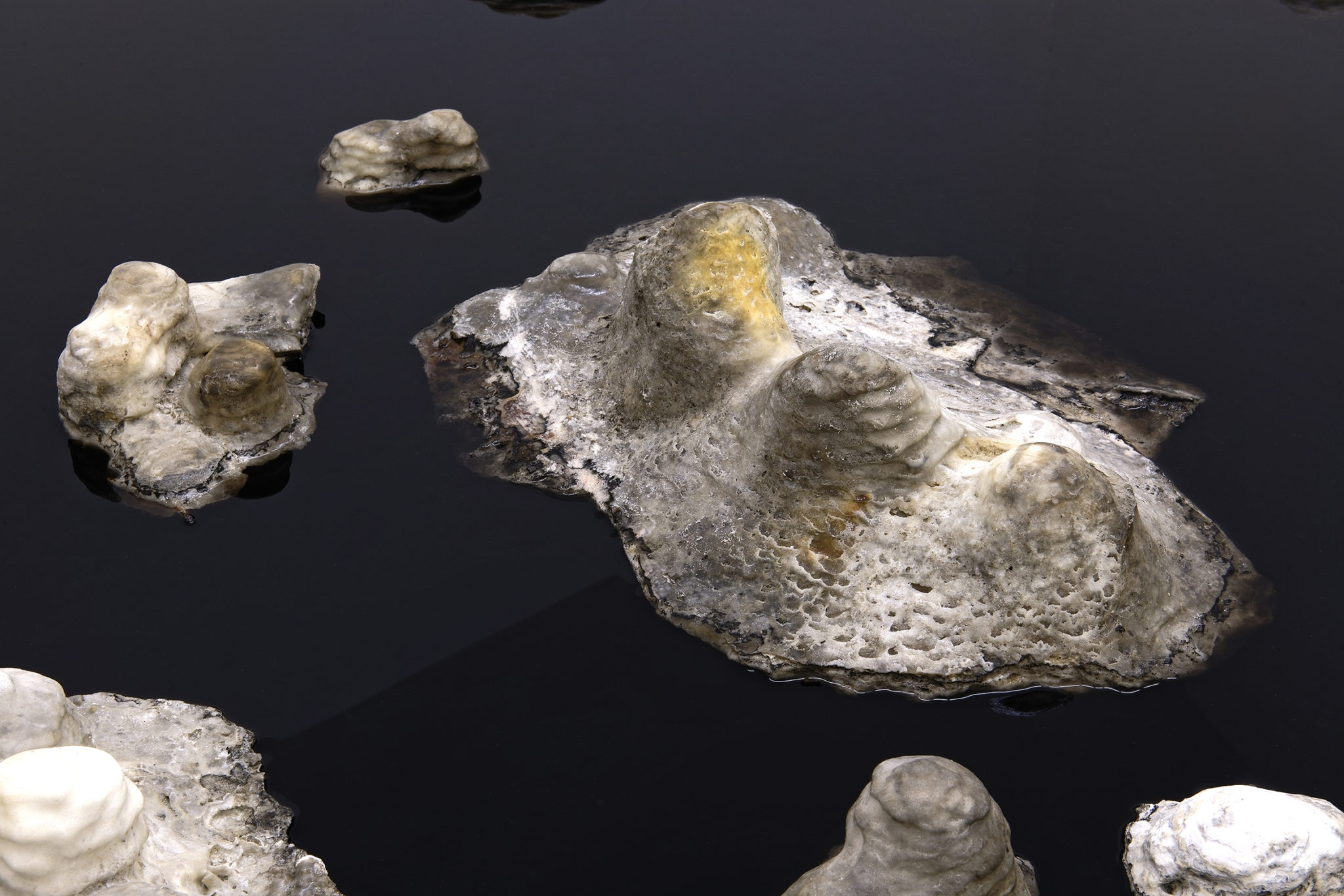 Ampholyte – Cécile Beau