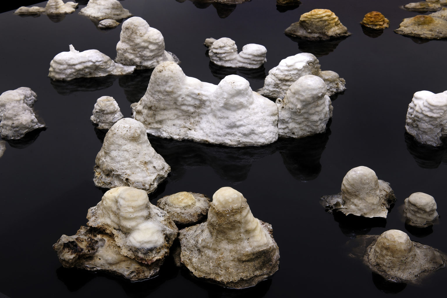 Ampholyte – Cécile Beau