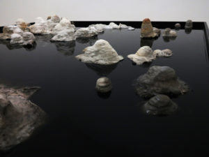 Ampholyte – Cécile Beau